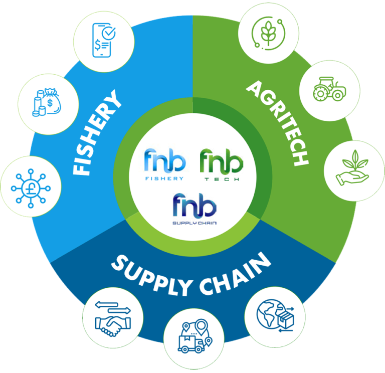 Solution - FnB Tech : FnB Tech