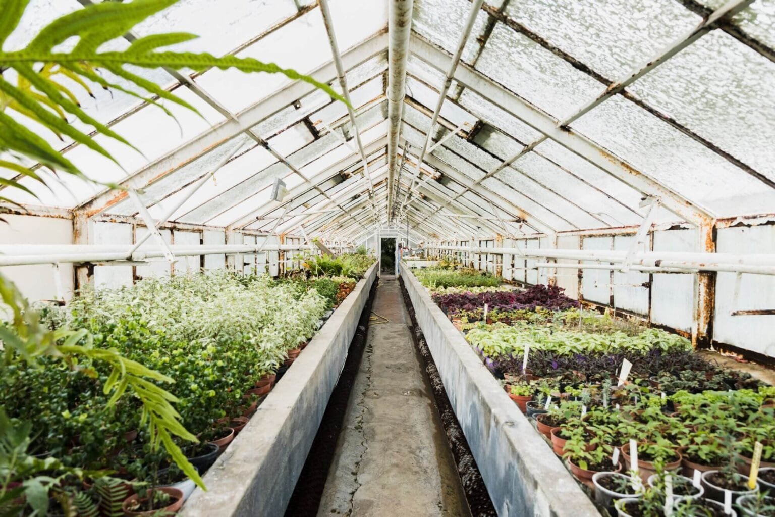 17 Essential Farming Tools Every Modern Farmer Should Have - FnB Tech ...