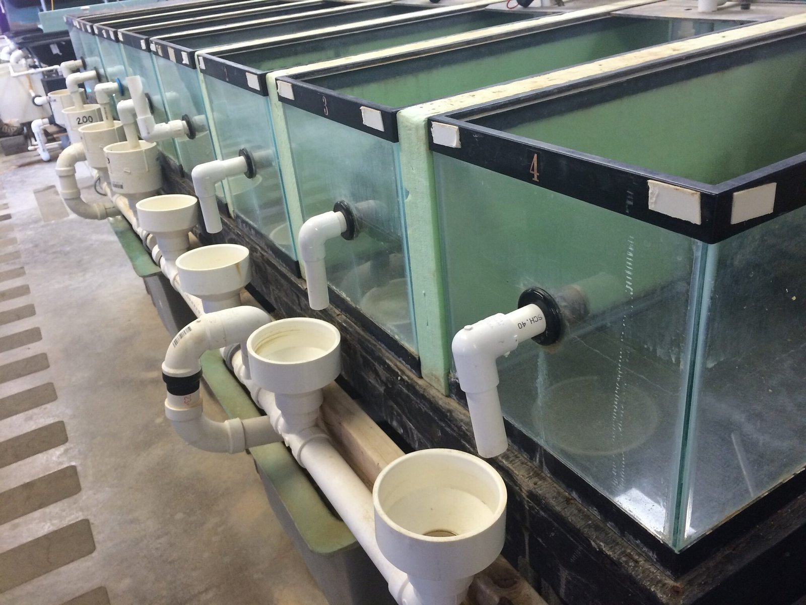 Recirculating Aquaculture Systems: The Future of Fish Farming - FnB ...