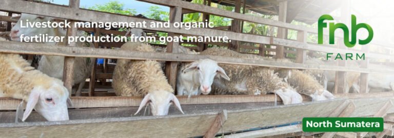 FnB Tech: Innovating Food Supply Chains