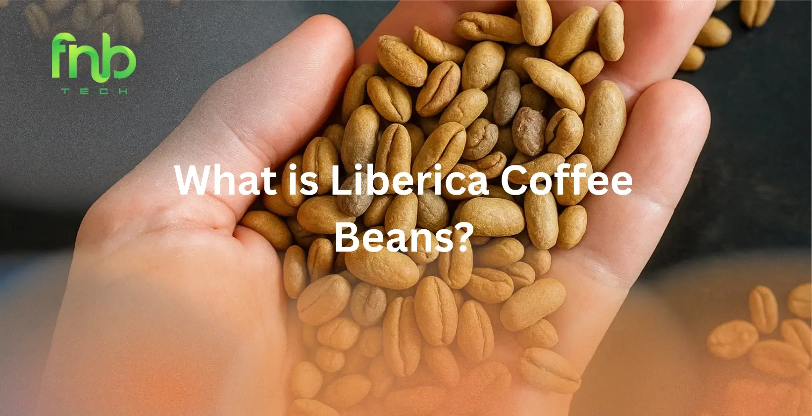 ¿Qué son los granos de café Liberica? - FnB Tech: FnB Tech