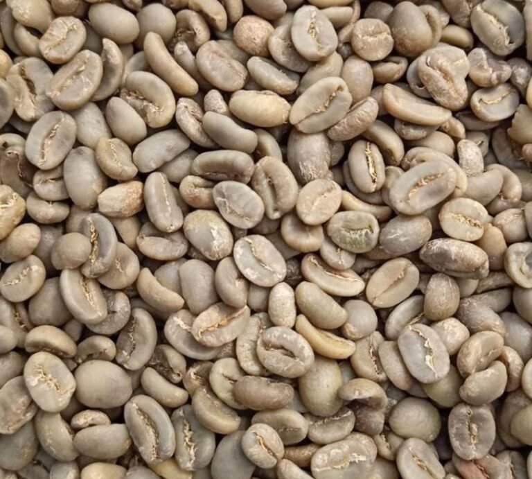 Luwak Coffee Animal: The Fascinating Origins of Civet Coffee : FnB Tech