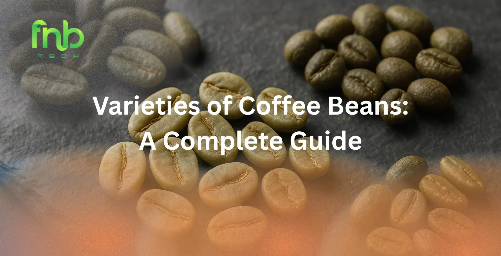 咖啡豆品种：完整指南 - FnB Tech：FnB Tech
