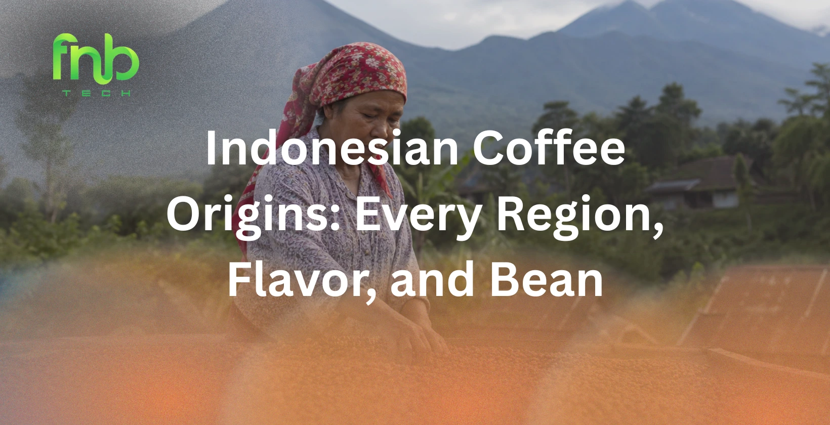 Asal-usul Kopi Indonesia: Setiap Daerah, Rasa, dan Biji Kopi - FnB Tech ...