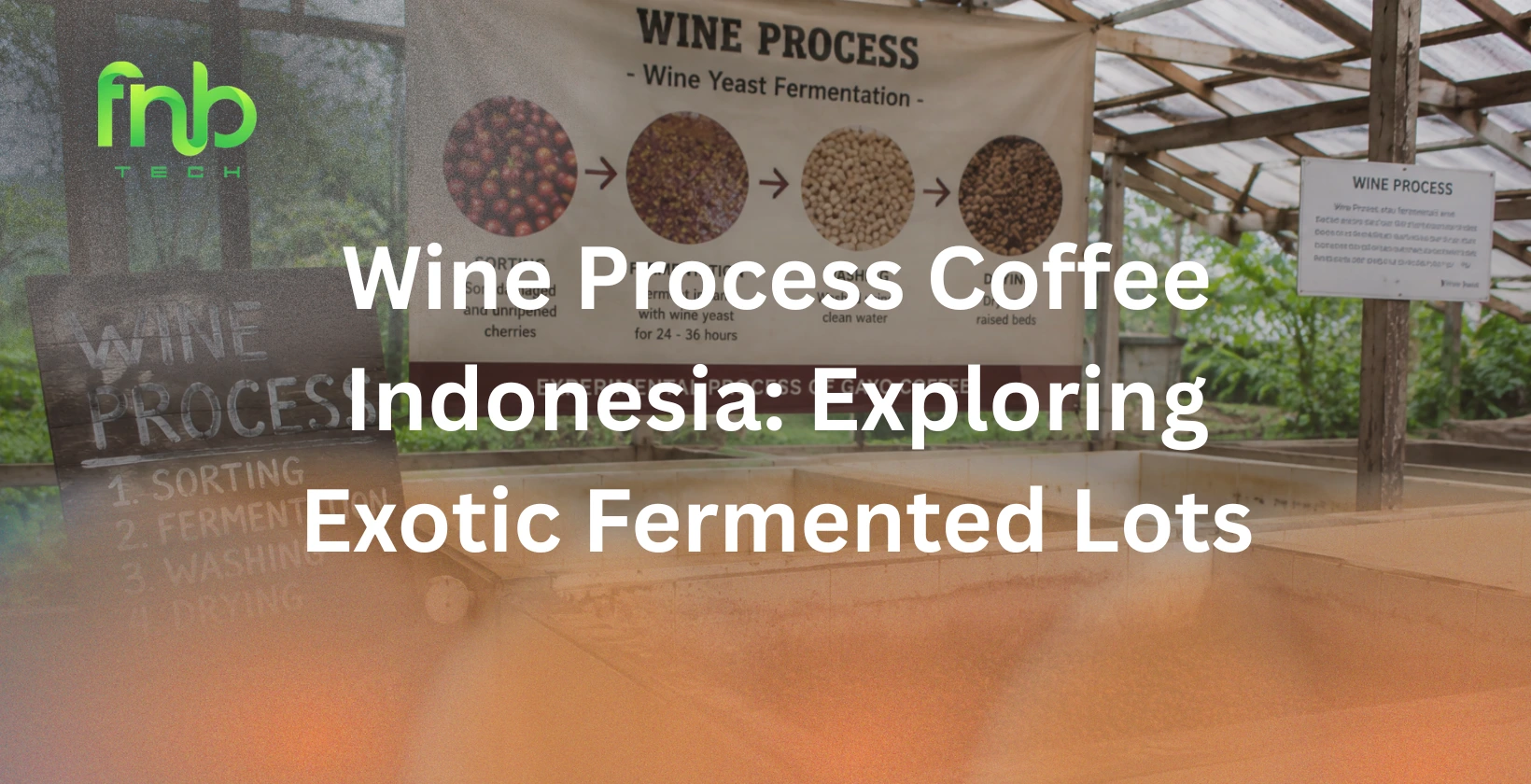 Kopi Proses Anggur Indonesia: Menjelajahi Varietas Fermentasi Eksotis ...