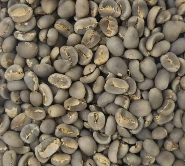 Sumatra Lintong Coffee - FnB Tech : FnB Tech